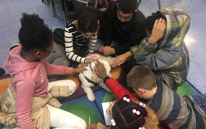 PAWS for People celebrates 15th anniversary | News | newarkpostonline.com