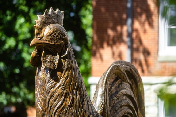 Giant Blue Hen statue intended as ‘a new campus landmark’ at UD ...