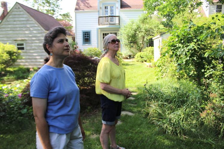 Get to work: Landscape architect enjoys job for the creativity | News ...