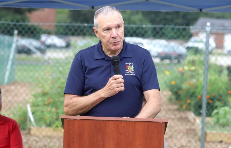 Dickey Park garden cultivates community spirit, healthy eating habits ...