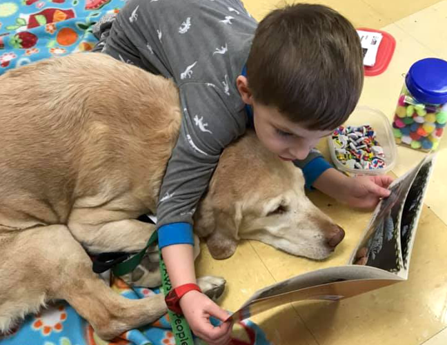 PAWS for People celebrates 15th anniversary | News | newarkpostonline.com