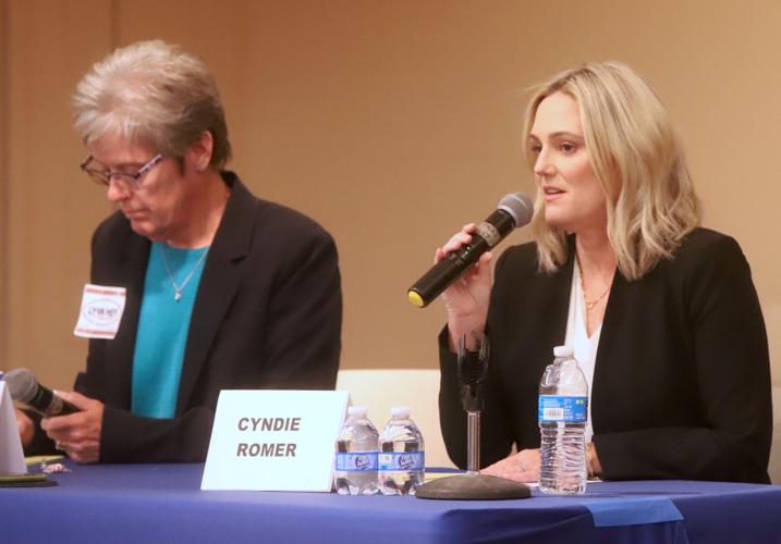 Abortion, gun control hot topics in District 25 candidate forum | News ...