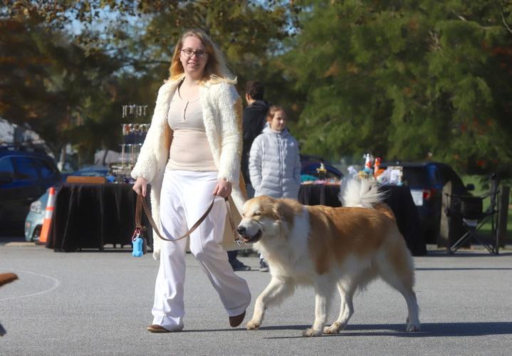 NewBark PawLooza draws dogs and their owners to Handloff Park | News ...