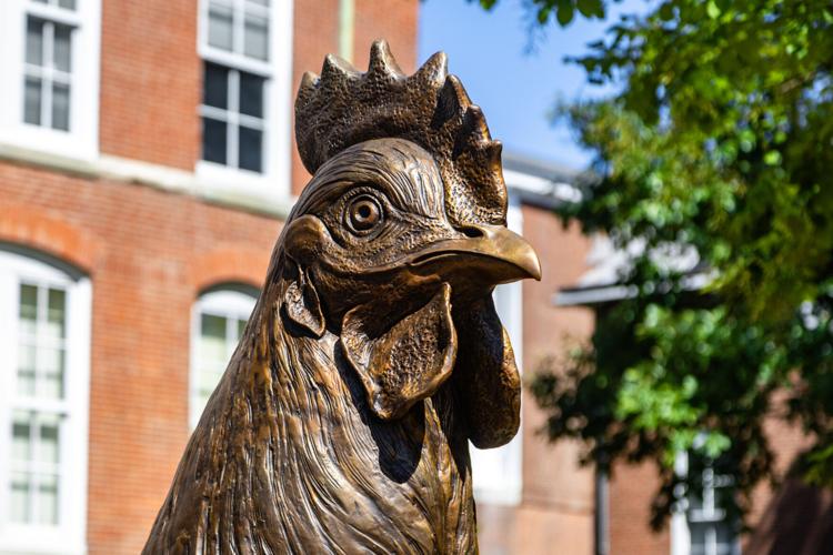Giant Blue Hen statue intended as ‘a new campus landmark’ at UD ...