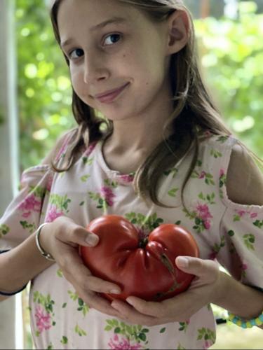 Newarker turns Barksdale Road yard into an urban farm | News ...