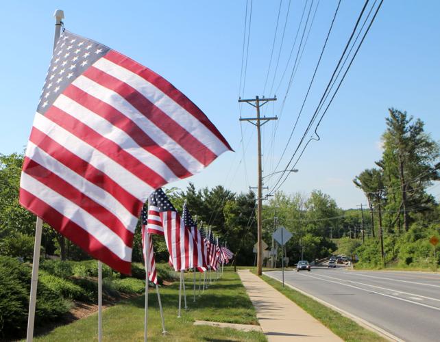 Newark Rotary Club displays ‘Flags for Heroes’ | News ...