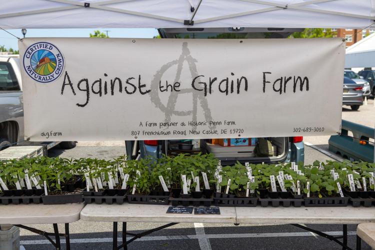 Farmers market season: Three markets in the Newark area offer a wide ...