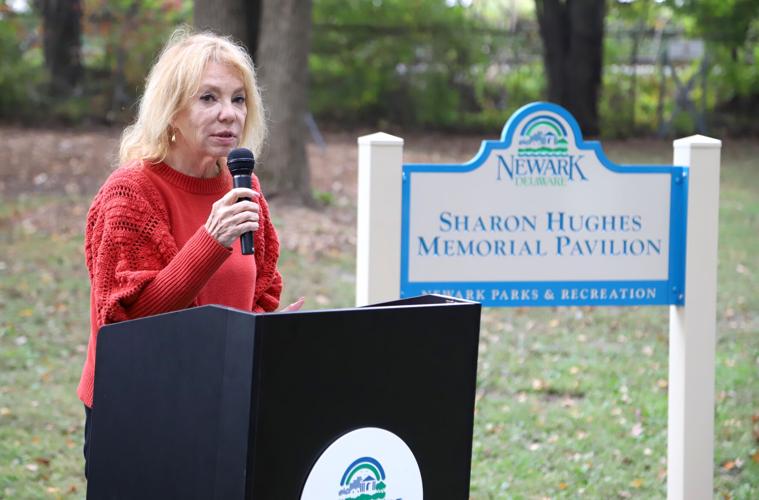 'She loved this neighborhood': Lumbrook Park pavilion named in memory ...