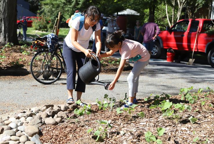 Neighbors join together to help beautify entrance to Nottingham Green | News | newarkpostonline.com
