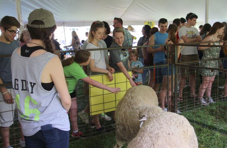 Fun on the farm: UD's Ag Day celebrates agriculture | News ...