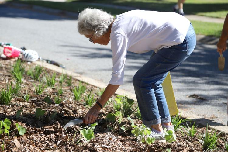 Neighbors join together to help beautify entrance to Nottingham Green | News | newarkpostonline.com