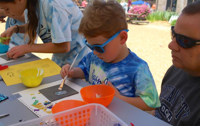 NCCL's Greenfest aims to inspire the next generation of environmental ...