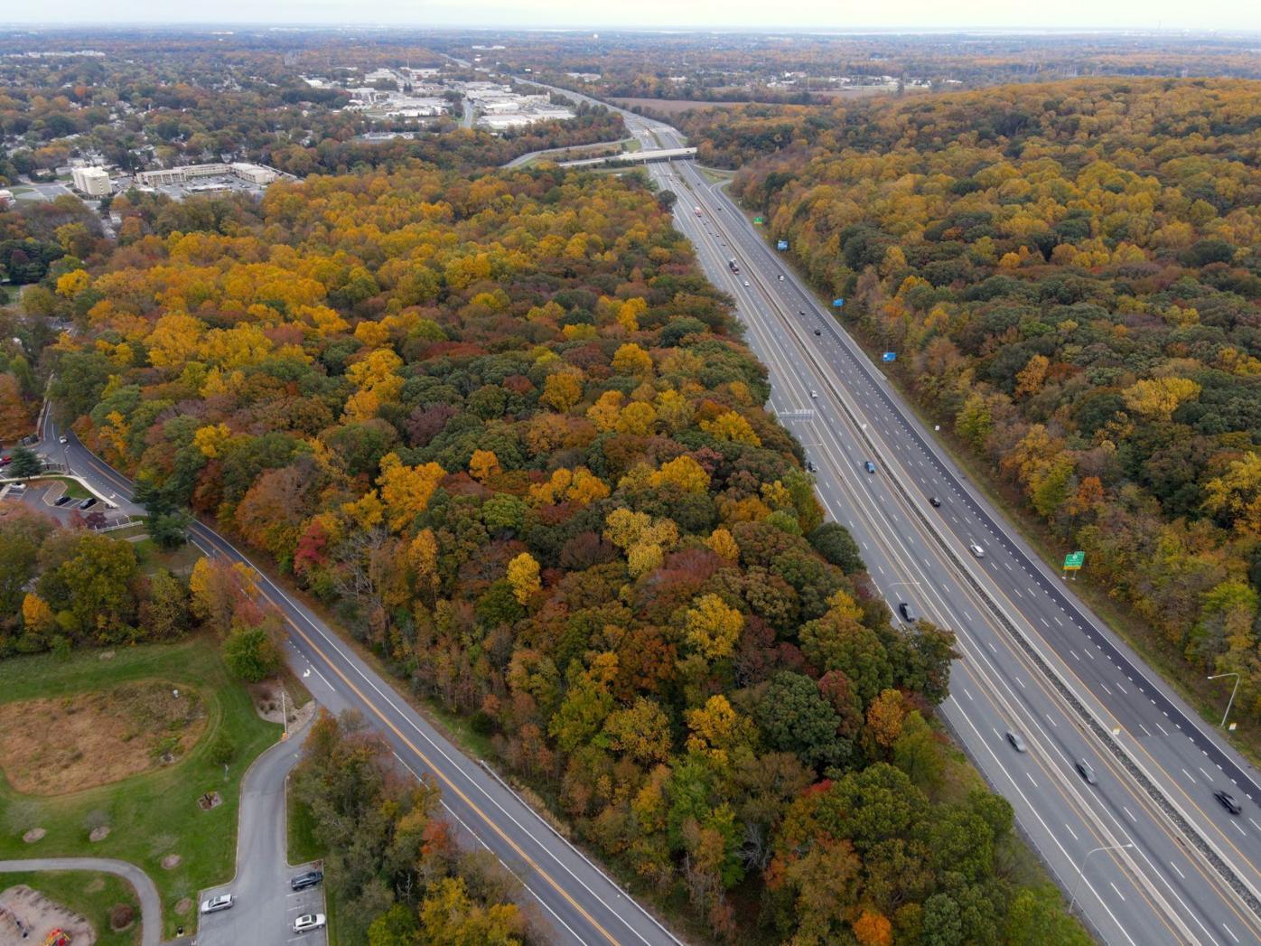 The splendor of autumn: Fall foliage around Newark | News ...