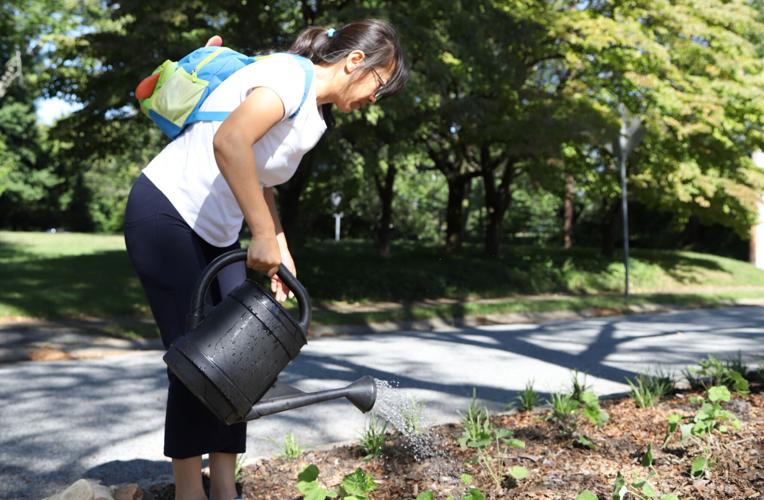 Neighbors join together to help beautify entrance to Nottingham Green | News | newarkpostonline.com