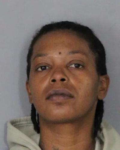 Woman charged in shoplifting spree in Newark | News | newarkpostonline.com