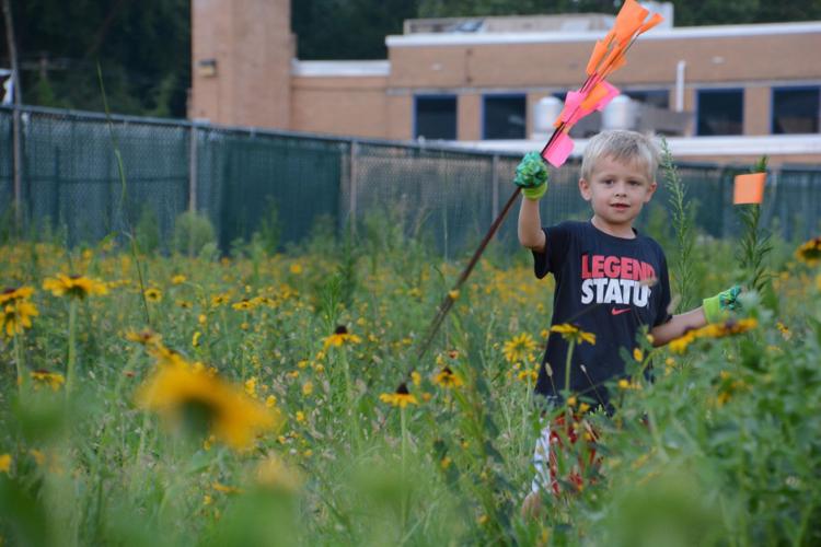 Shue-Medill Middle School turns field into wildflower meadow | News ...