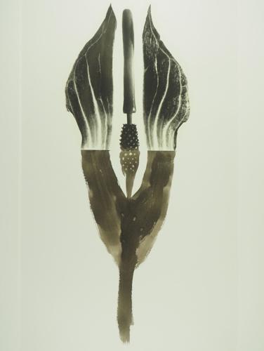 Newark artist's work showcased at Carvel State Office Building | News ...