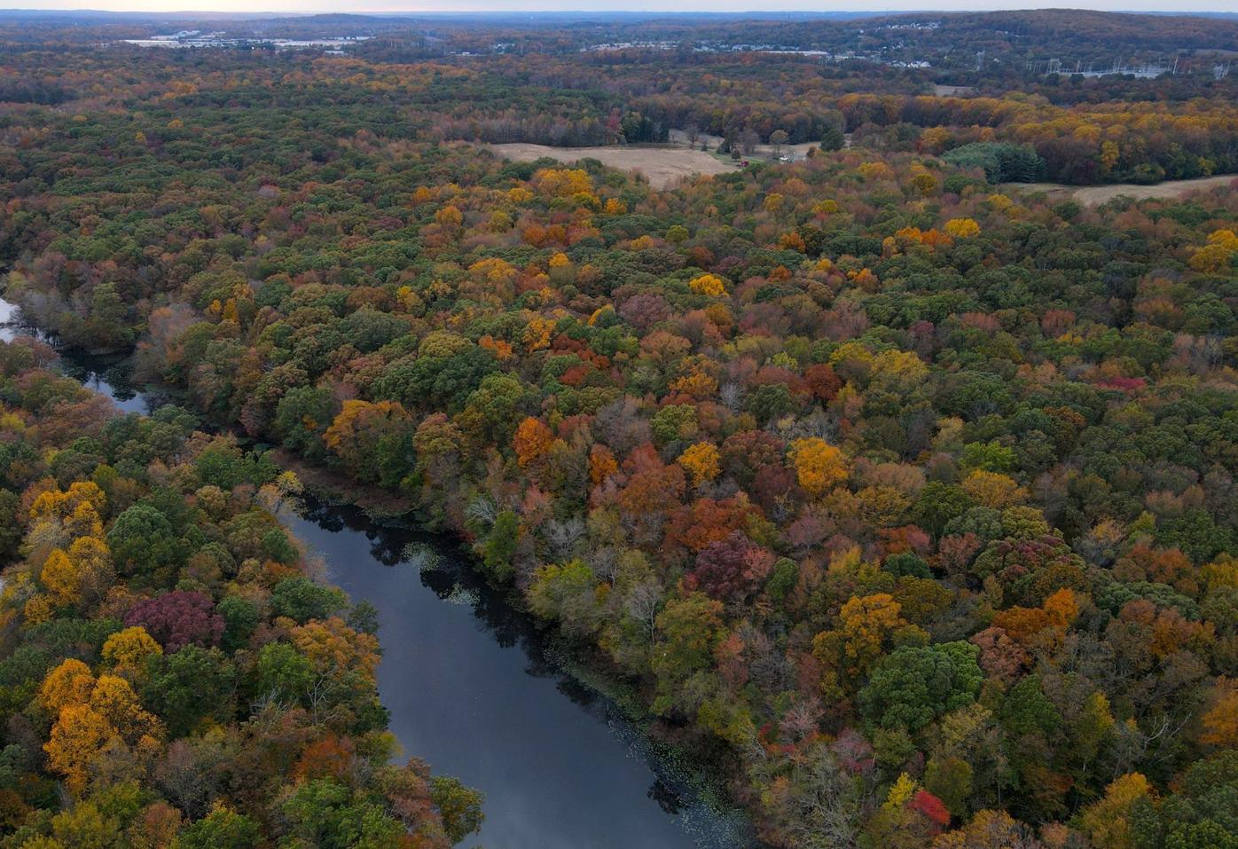 The splendor of autumn: Fall foliage around Newark | News ...