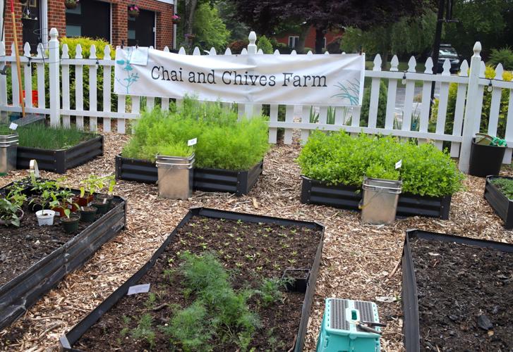 Newark Garden Tour shows off private gardens around the city | News ...