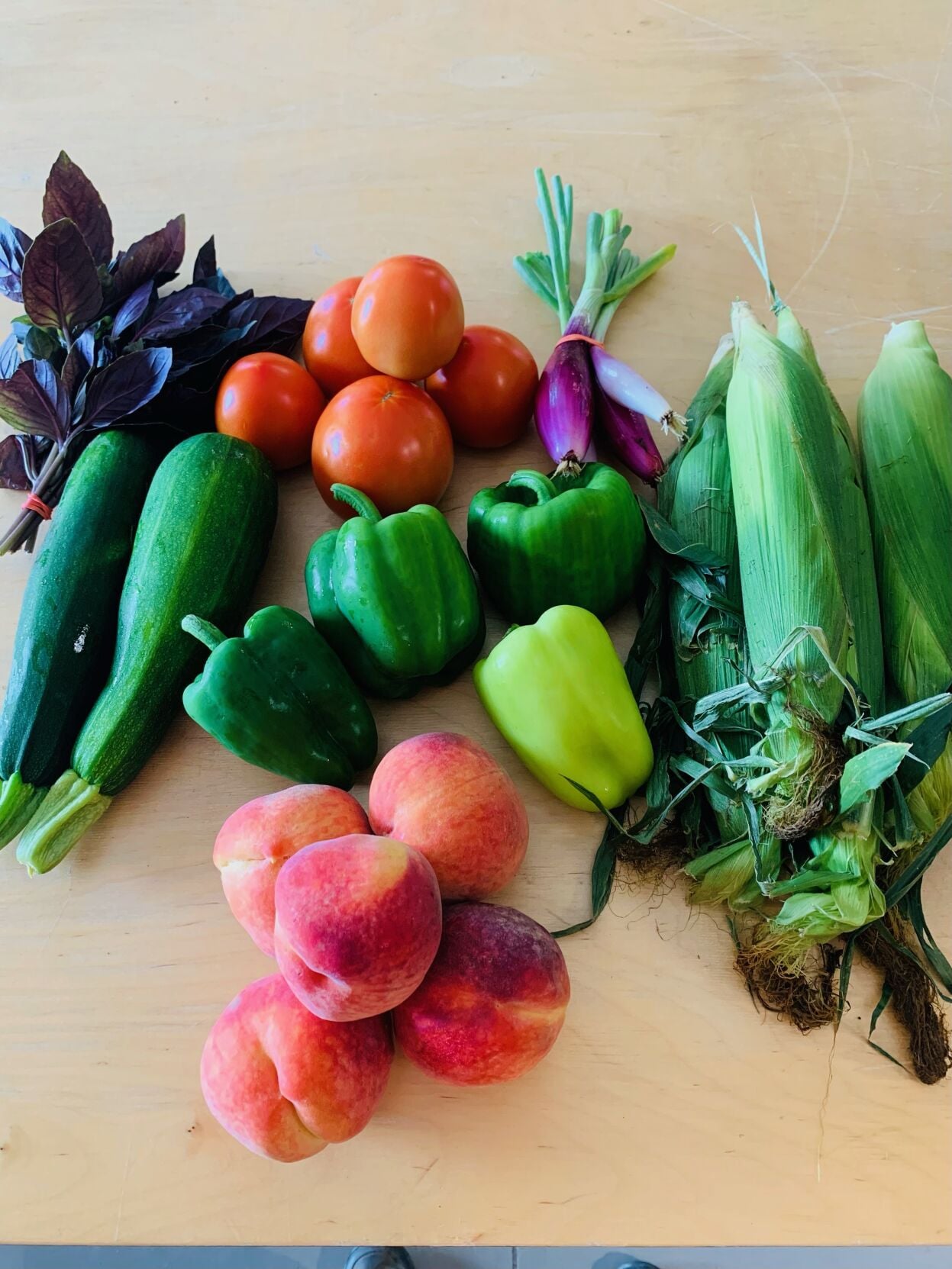 Food Bank to offer Community Supported Agriculture program | News ...