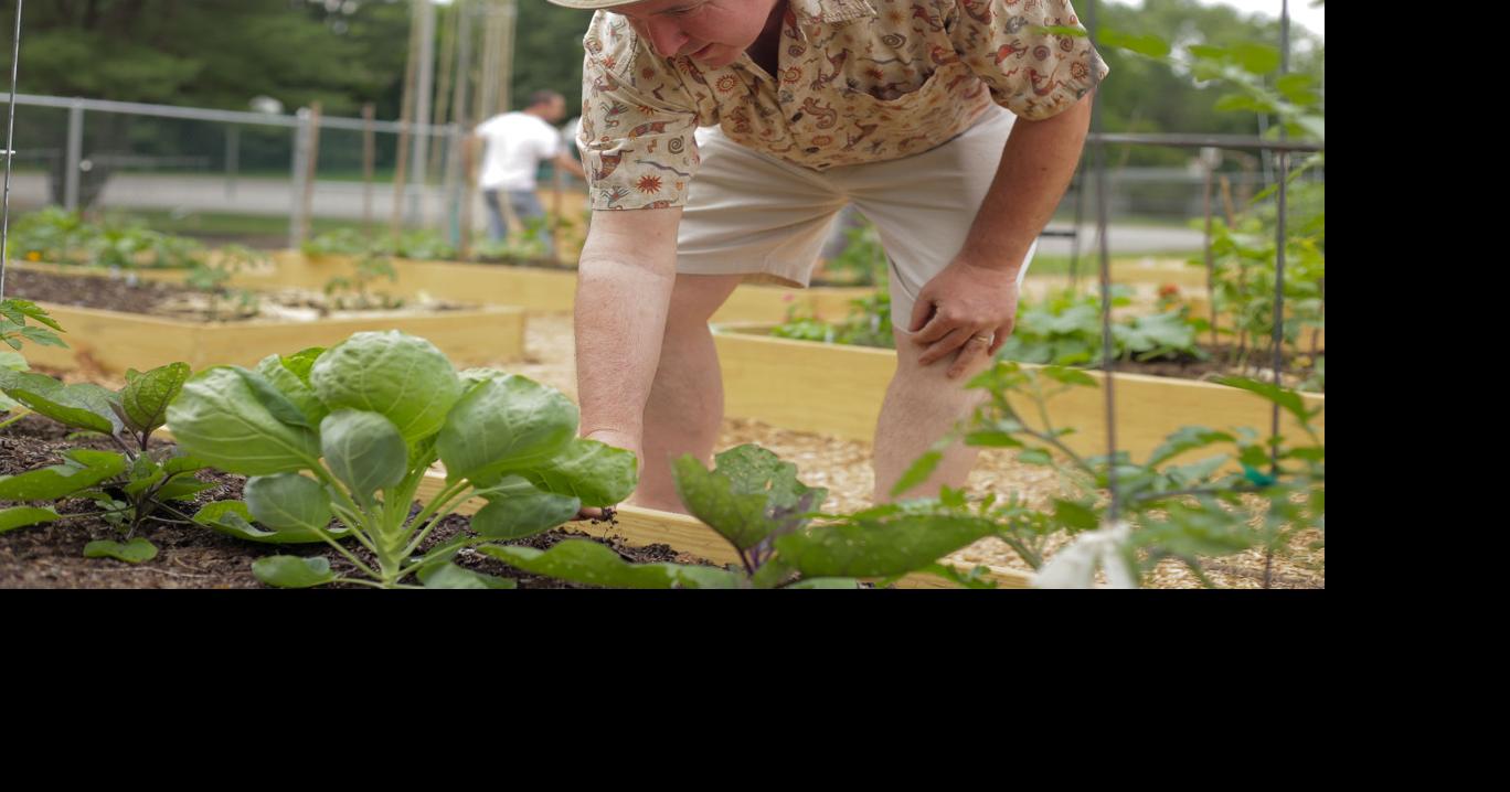 Newark planning community garden in Dickey Park | News ...