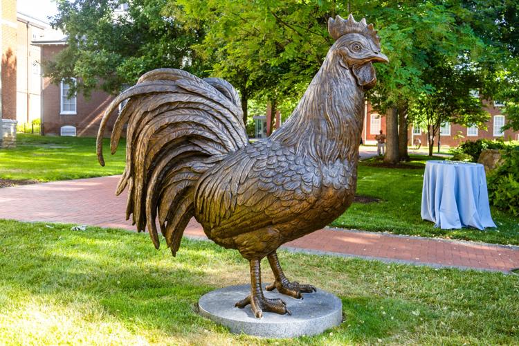 Giant Blue Hen statue intended as ‘a new campus landmark’ at UD ...