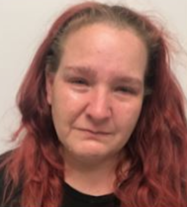 Pair wanted in Maryland slaying arrested near Newark | News ...