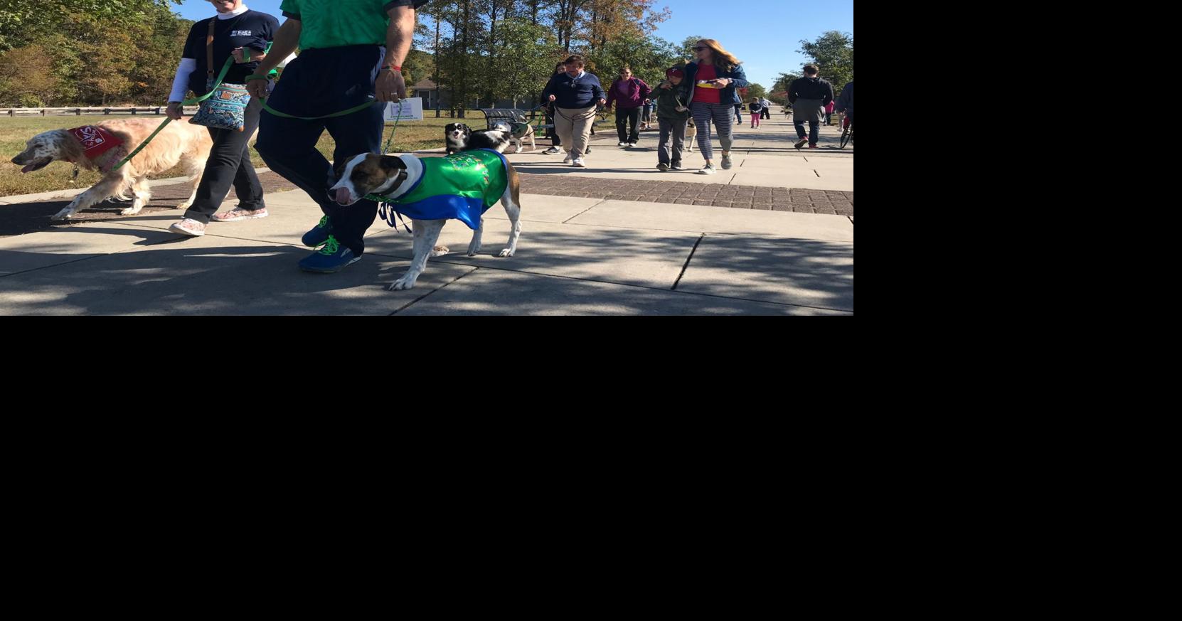 PAWS for People to hold annual cumulative marathon | News ...