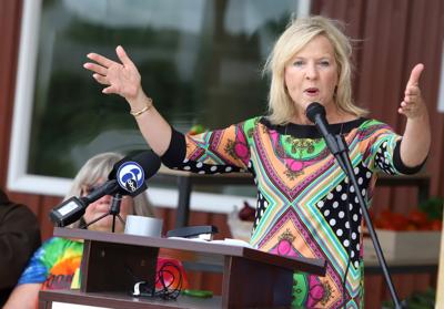 Lt. Gov. to hold virtual town hall meetings on coronavirus reopening ...