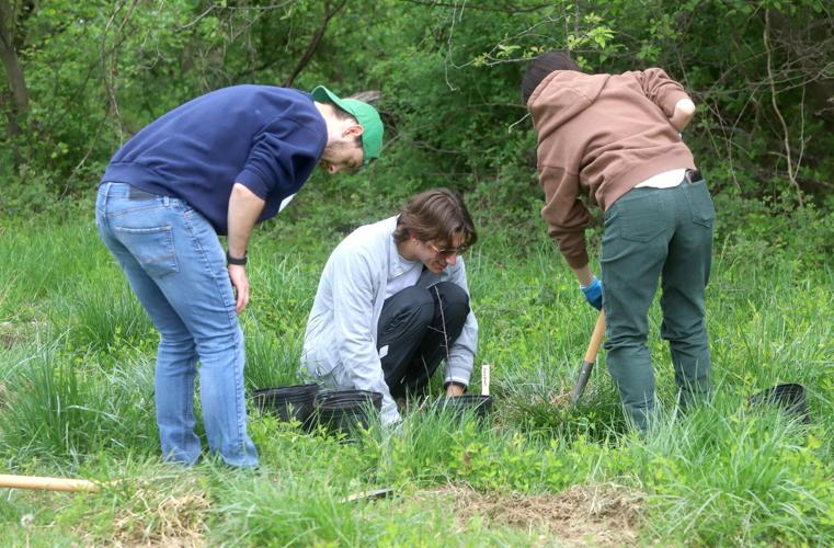 Volunteers plant hundreds of trees in Newark parks for Earth Day | News ...