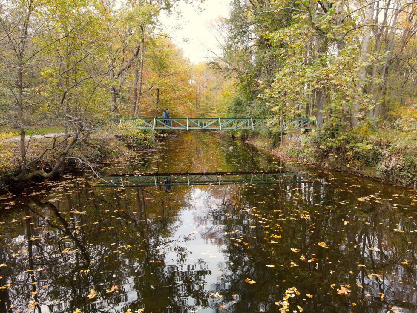 The splendor of autumn: Fall foliage around Newark | News ...