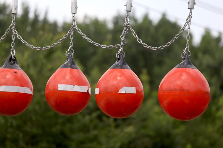 Clankers prove effective at Casho Mill underpass, may be installed at ...