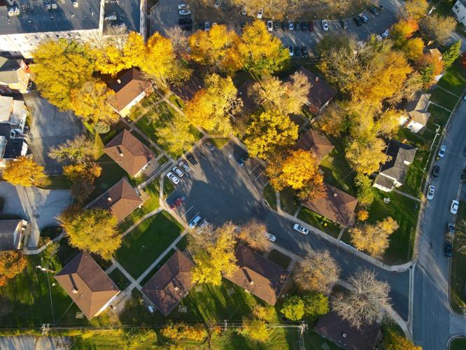 The splendor of autumn: Fall foliage around Newark | News ...