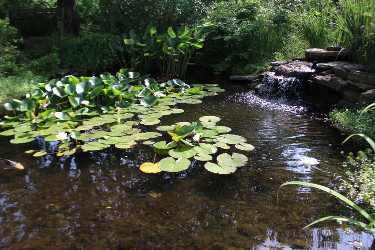 Get to work: Landscape architect enjoys job for the creativity | News ...