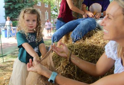 Newark's annual Community Day festival set for Sunday | News ...