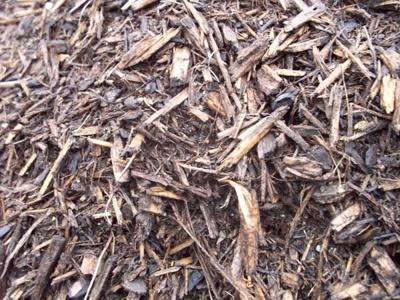 Tom Glasgow: Compost and mulch not created equally | Opinion ...