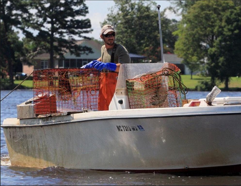 PHOTOS: Crabbing the Neuse River | Local News | newbernsj.com