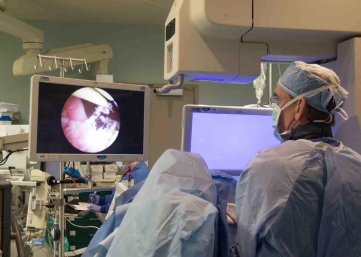 New tool increases bladder cancer diagnosis | Features | newbernsj.com