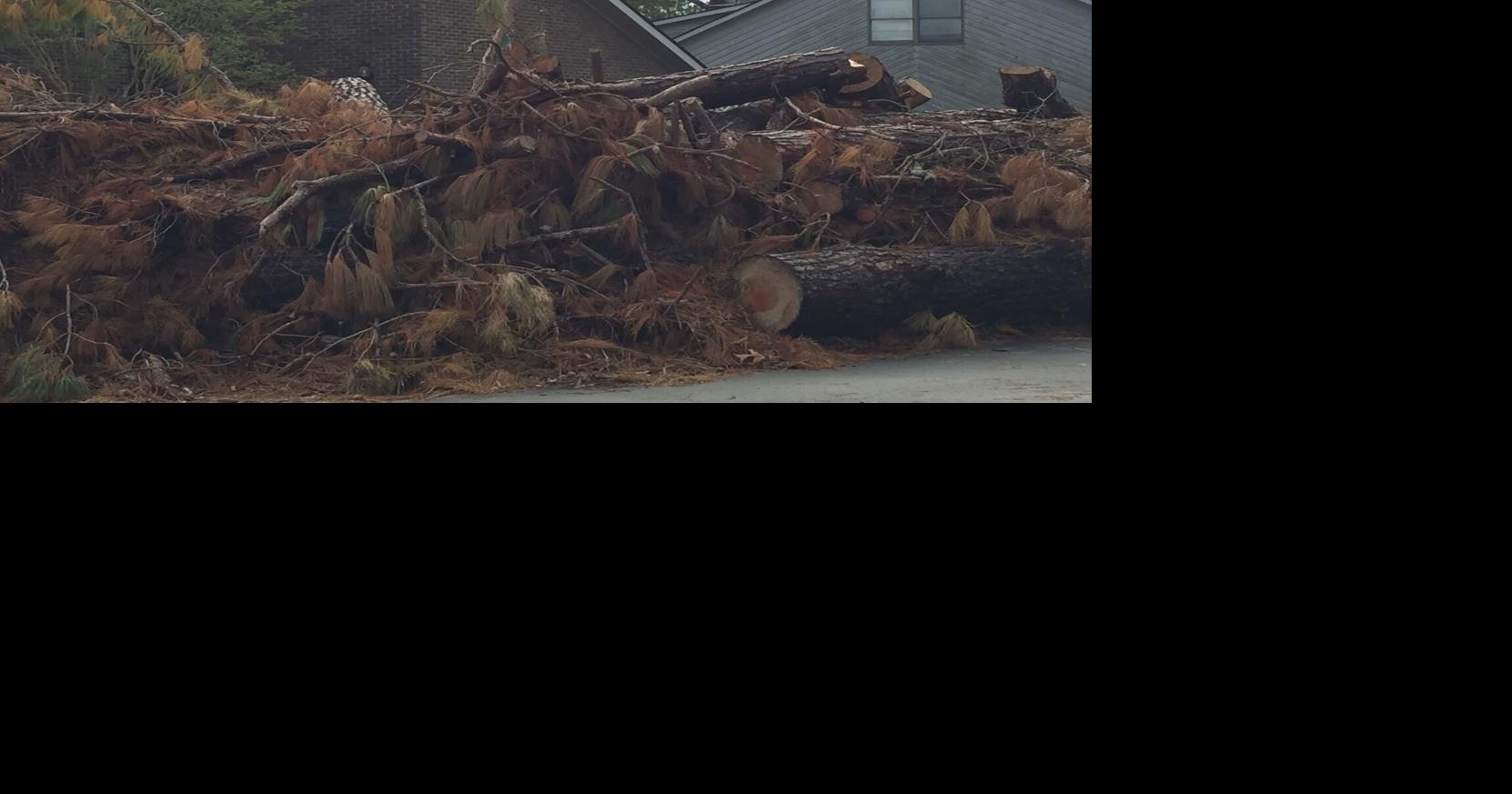 Remnants of Flo | Local News | newbernsj.com