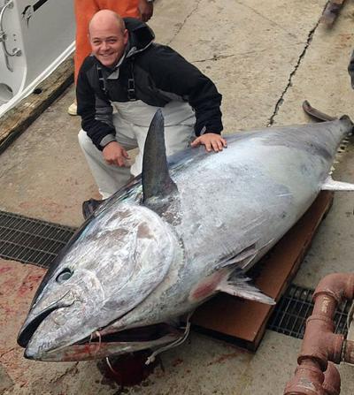 Angler talks about fight with a 1,000-pound tuna | Local News ...