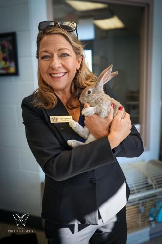 33 animals adopted from Craven-Pamlico Animal Services during their ...