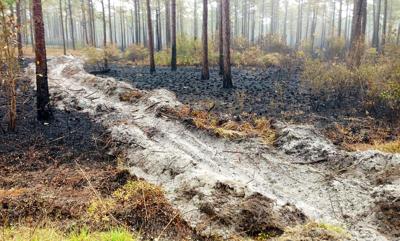 Croatan wildfire nearly contained | Local News | newbernsj.com