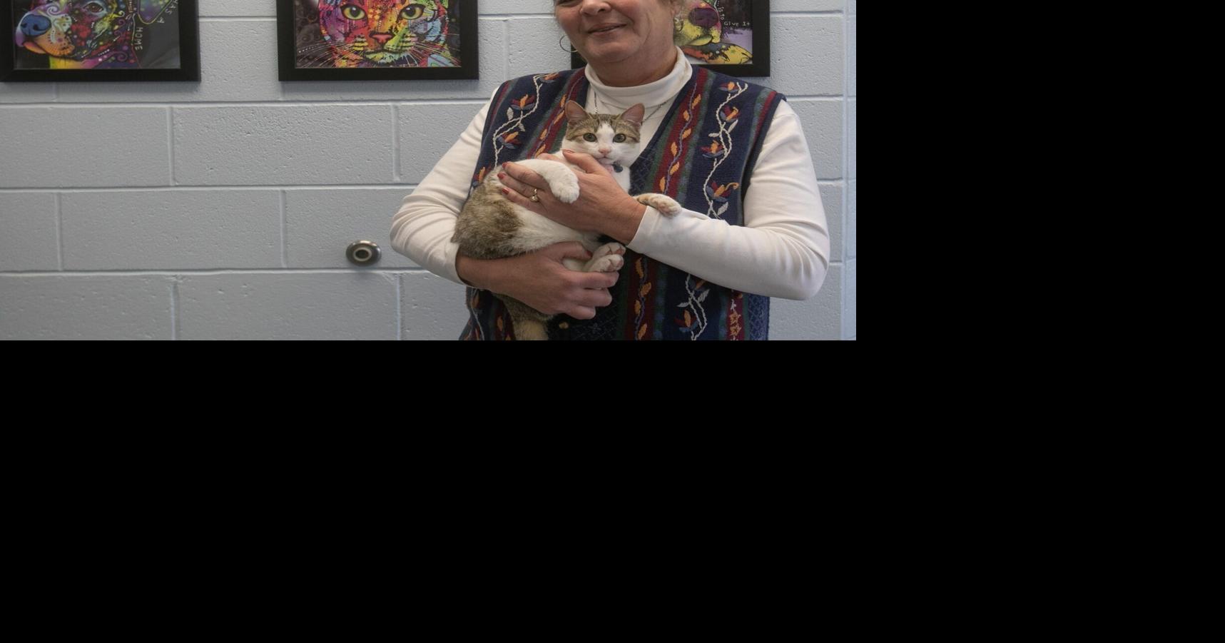 Craven Animal services director is out of a job | Local News ...