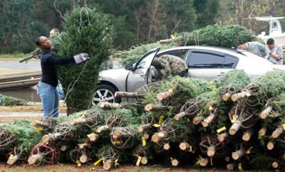 Cherry Point Marines receive free Christmas trees | Local News ...