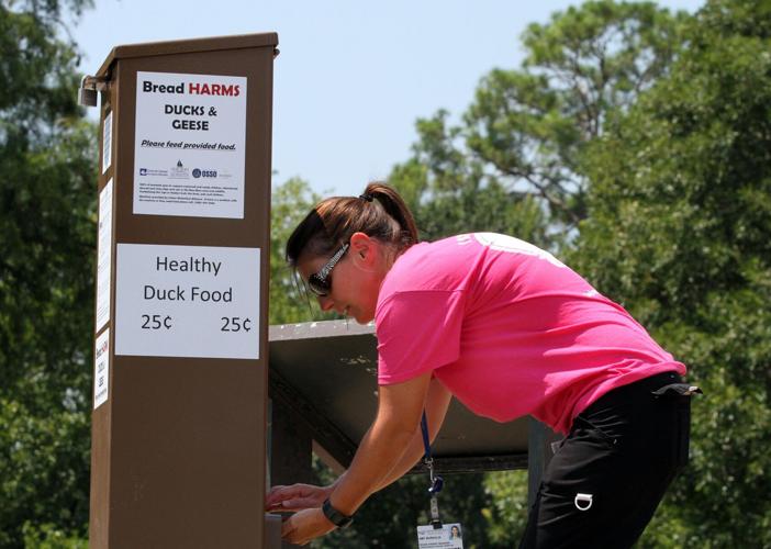 Duck food dispensers fit the bill | Local News | newbernsj.com