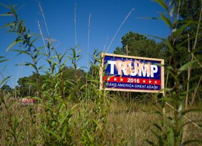 Vandals stealing, defacing political signs in Craven | Local News ...
