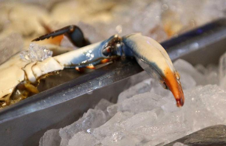 PHOTOS: Tryon Palace Seafood & The Stingray Cafe | Local News ...