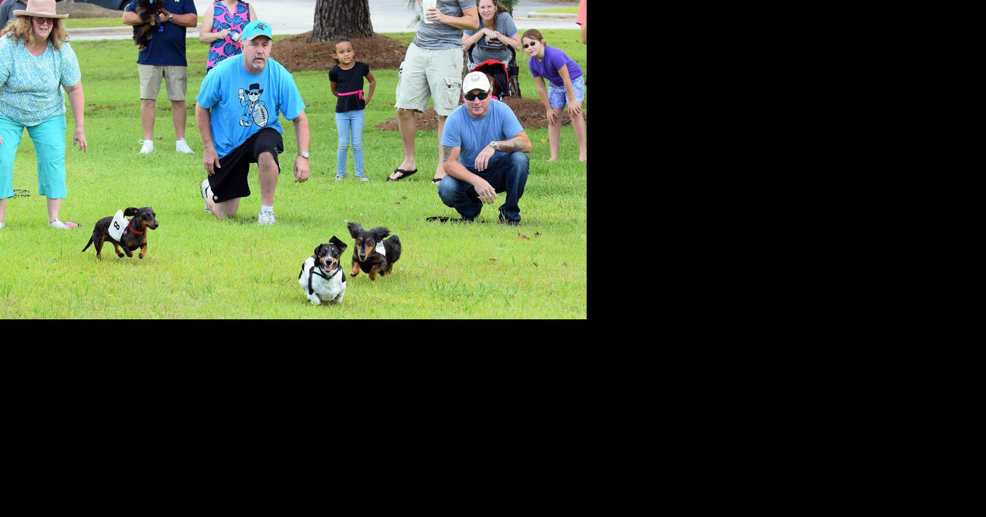 By any name, 'weiner dog' owners simply call them the best | Local News ...