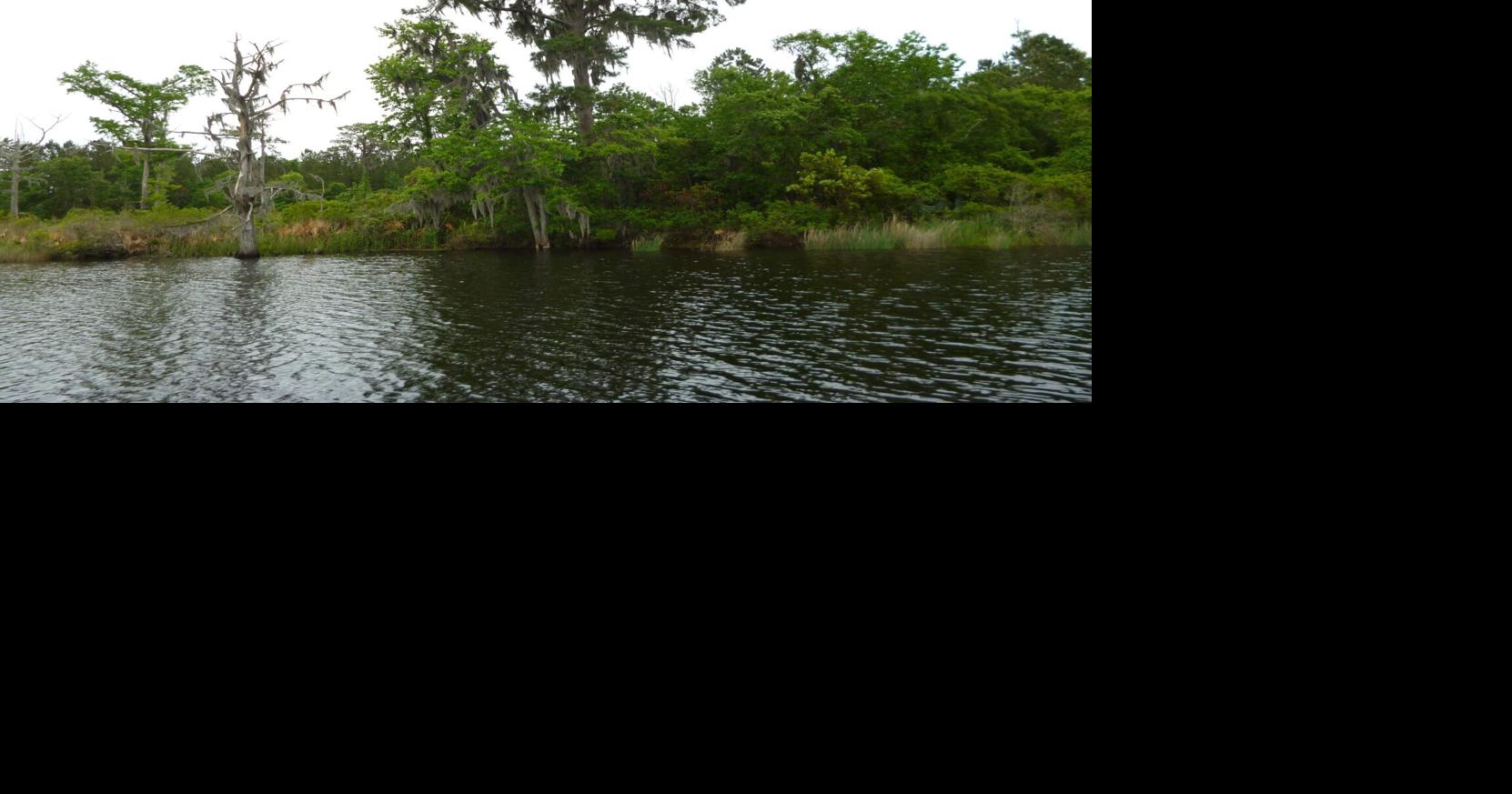 Waterfront property along the Neuse River saved for conservation ...
