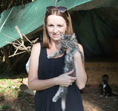 Catwalk to raise funds for homeless cats | Local News | newbernsj.com